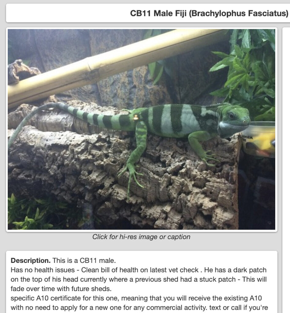 What is "Commercial" Restriction for CITES 1 Animal - All Reptiles ...