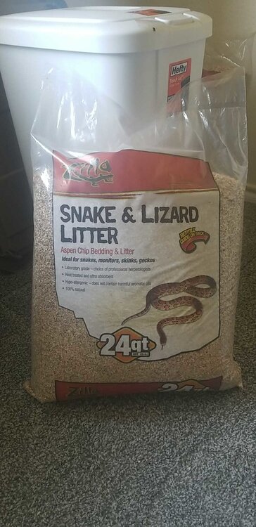 Best Substrate for Texas Rat Snakes - Rat Snakes - MorphMarket Reptile ...