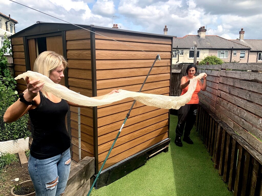 Giant snake shed - Burmese Pythons - MorphMarket Reptile Community