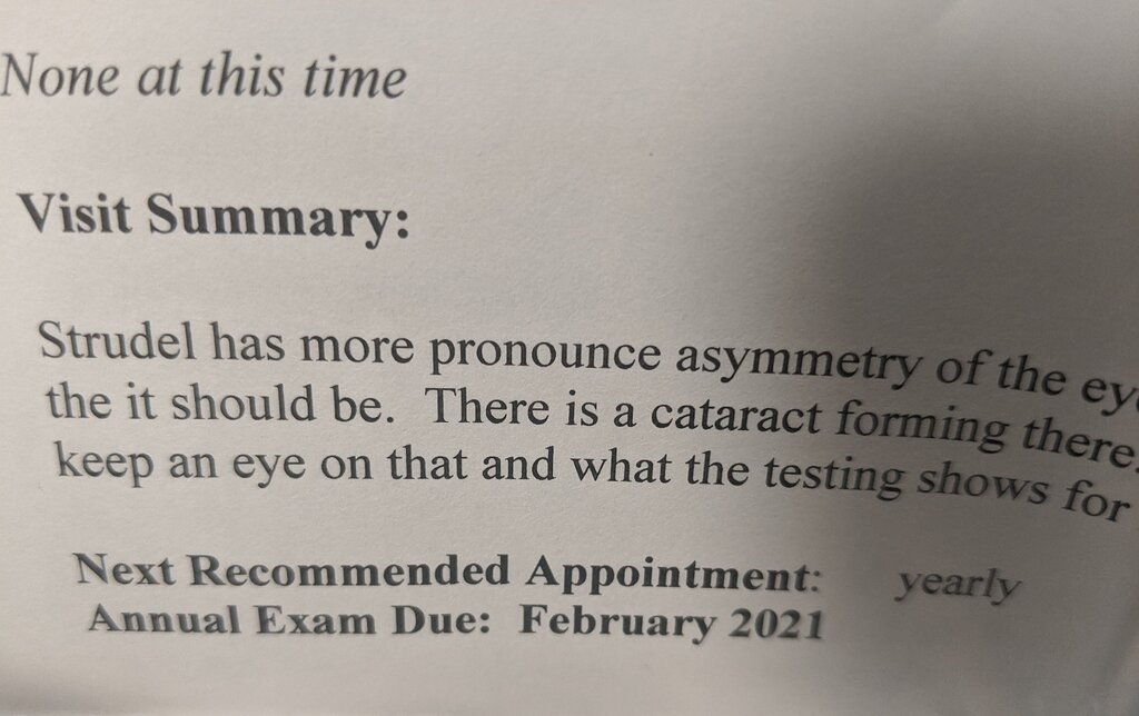 Wondering if a ball python can get cataracts? - Ball Pythons ...