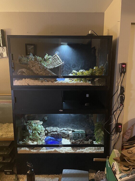 [Resolved!] Heating Stacked PVC Ball Python Enclosures - Radiant Heat ...