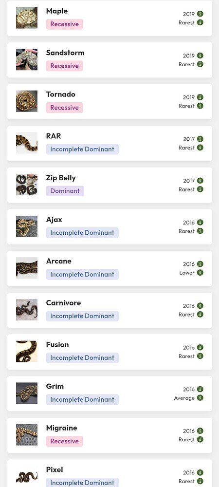 New ball python morphs - Ball Pythons - MorphMarket Reptile Community