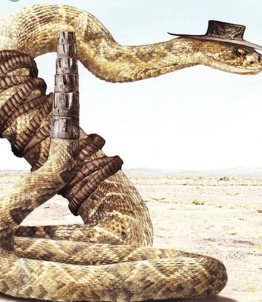 Snakes In Movies - All Reptiles - MorphMarket Reptile Community