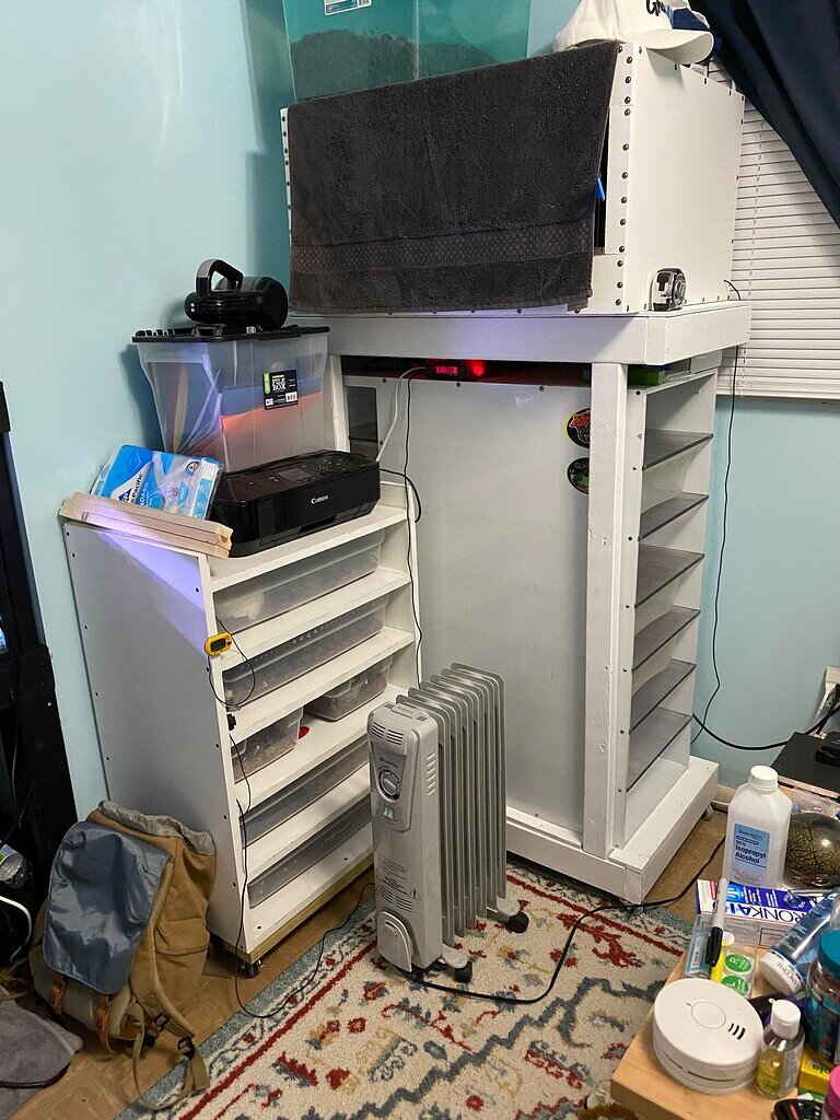 Rack questions... again - Ball Pythons - MorphMarket Reptile Community