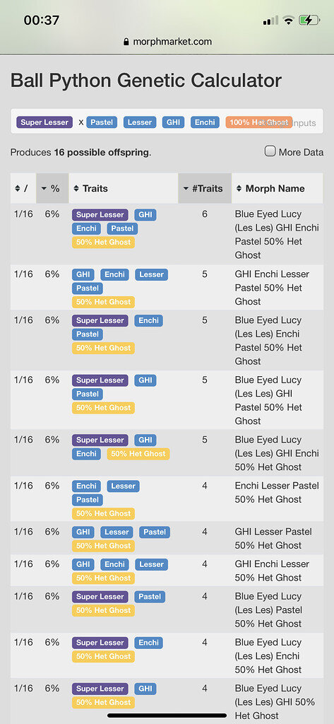 How to know what’s in your Bel? - Ball Pythons - MorphMarket Reptile ...
