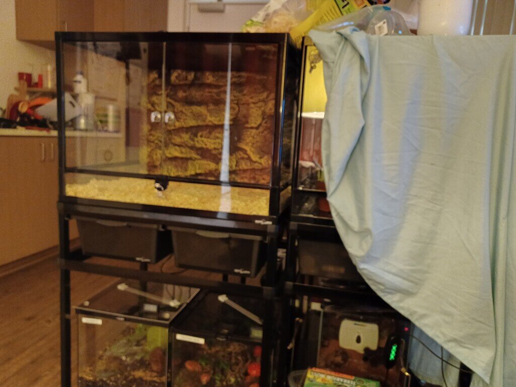 My enclosure stand finally arrived - Enclosures & Setups - MorphMarket ...