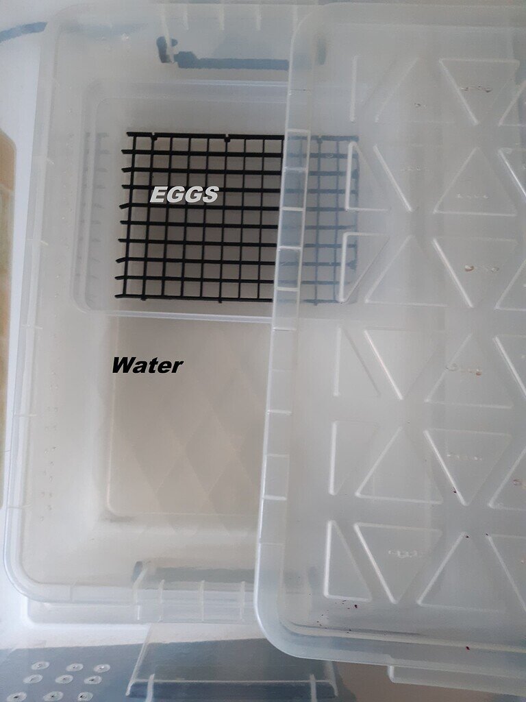 Floating Birth Chamber. I need to protect hatchlings if they hatch ...