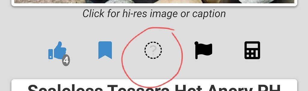 Icon Issue on MorphMarket [2368] [FIXED] - Bug Reports - MorphMarket ...