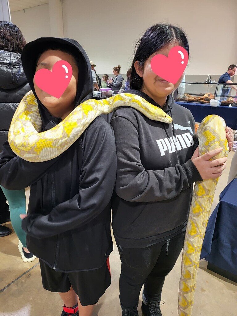 A few photos from Repticon Baltimore today! - All Reptiles ...