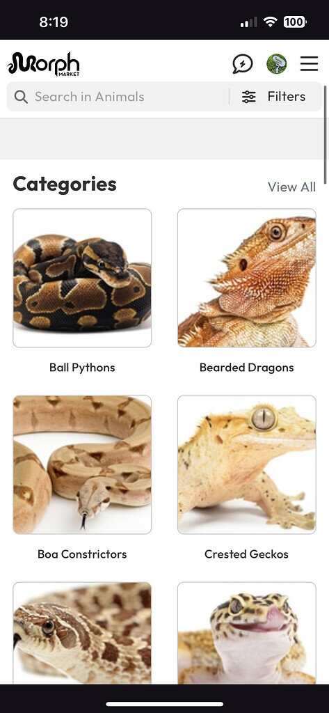New design update on app - Marketplace Support - MorphMarket Reptile ...