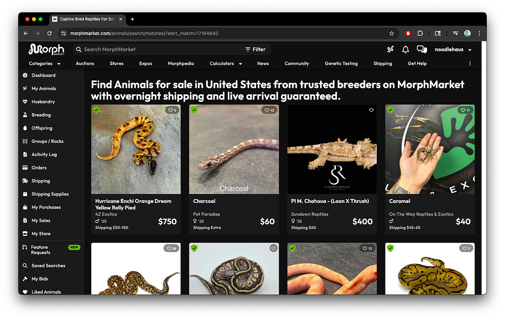 Clicking 'animal matching saved search' notification leads to all ...