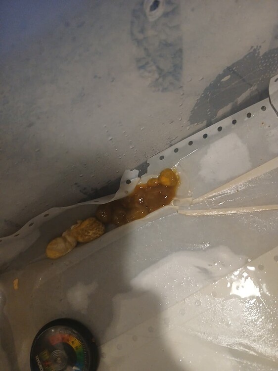 What is this poop! - Ball Pythons - MorphMarket Reptile Community