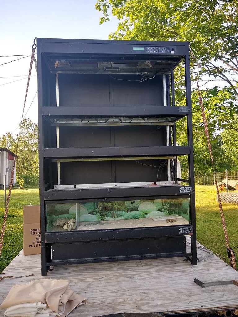 New display! - Enclosures & Setups - MorphMarket Reptile Community