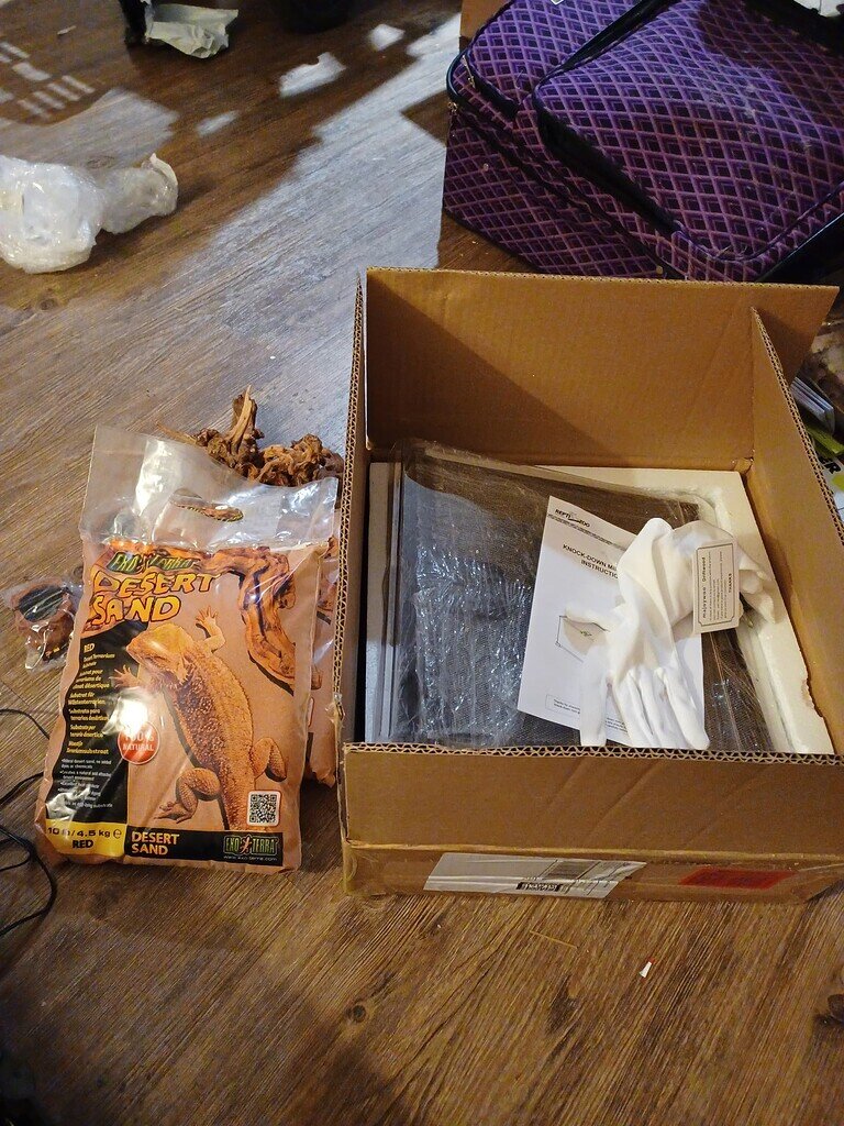 Building 2 new scorpion enclosures - Scorpions - MorphMarket Reptile ...