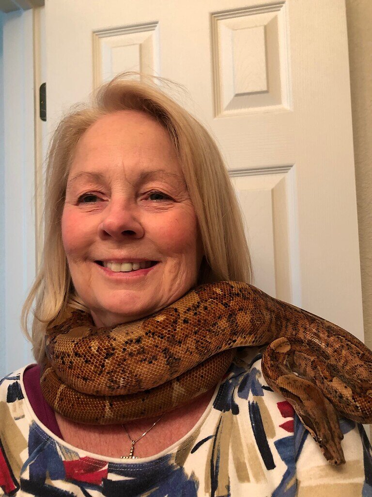 Hanging around with my boa Red - Boa Constrictors - MorphMarket Reptile ...