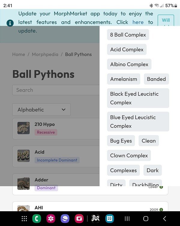 Blue Eye Leucistic Complex - Ball Pythons - MorphMarket Reptile Community