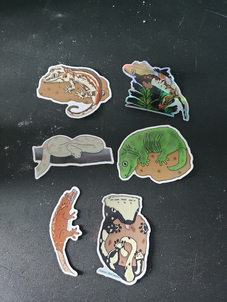 Six Pack of Stickers - Geckoholics Fundraising Auction - MorphMarket ...