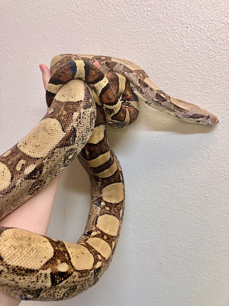 If you have any suggestions about whet he might be let me know! - All ...