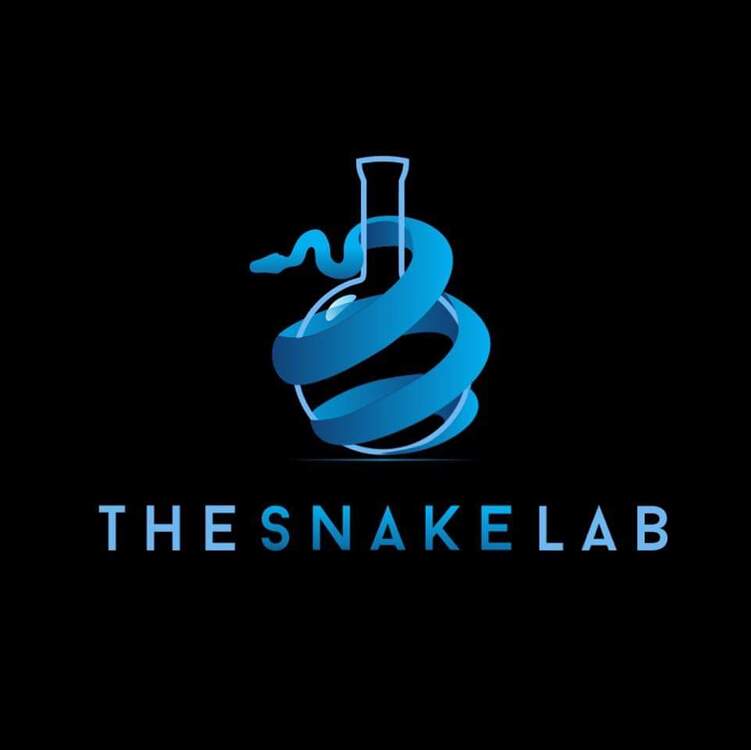 The Best MorphMarket Store Logos 2022 Nominations - All Reptiles ...