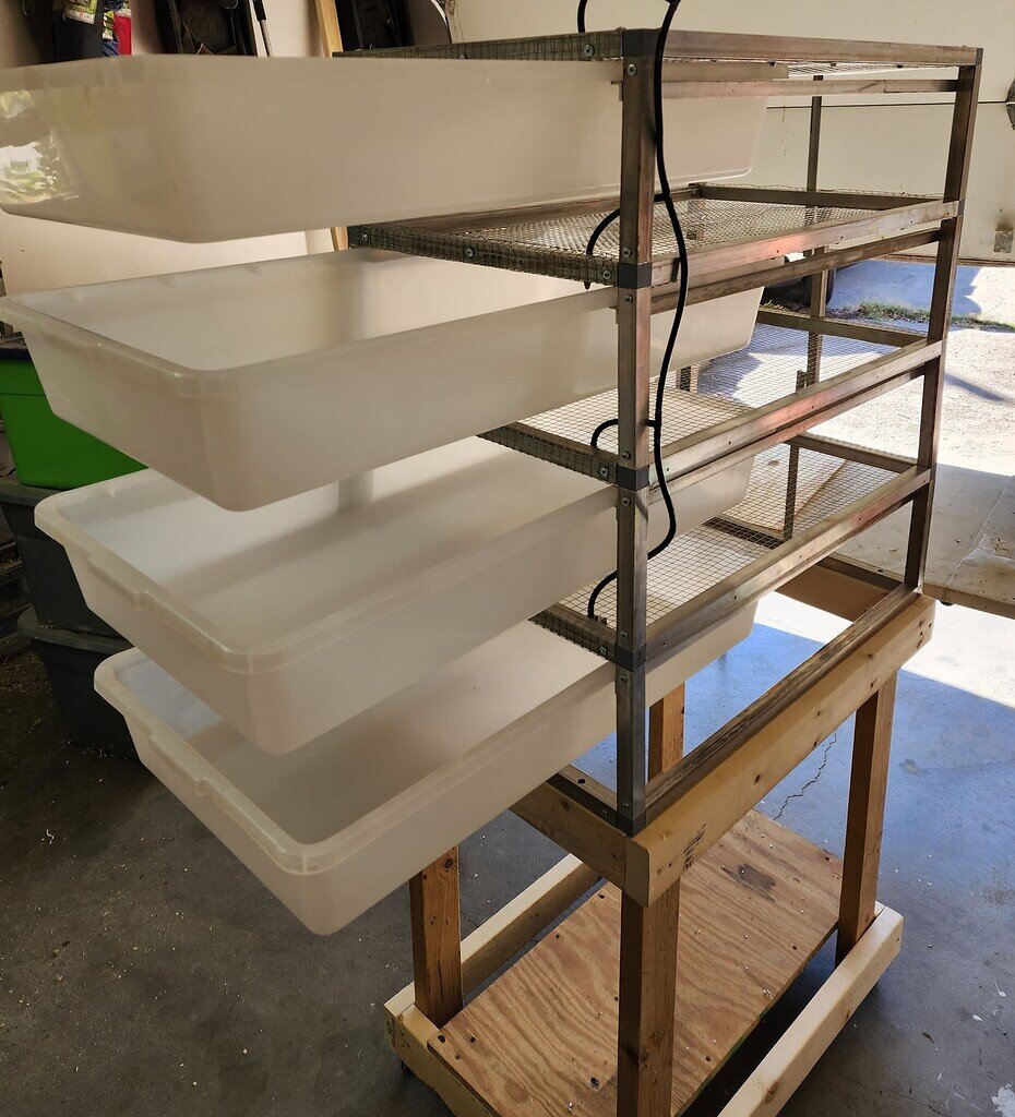 Putting together a bad back friendly rack - Feeders - MorphMarket ...