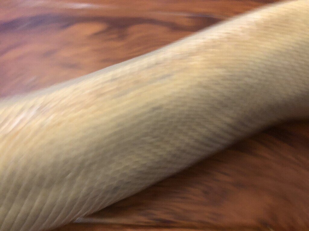 Is she a hypo champagne? - Ball Pythons - MorphMarket Reptile Community