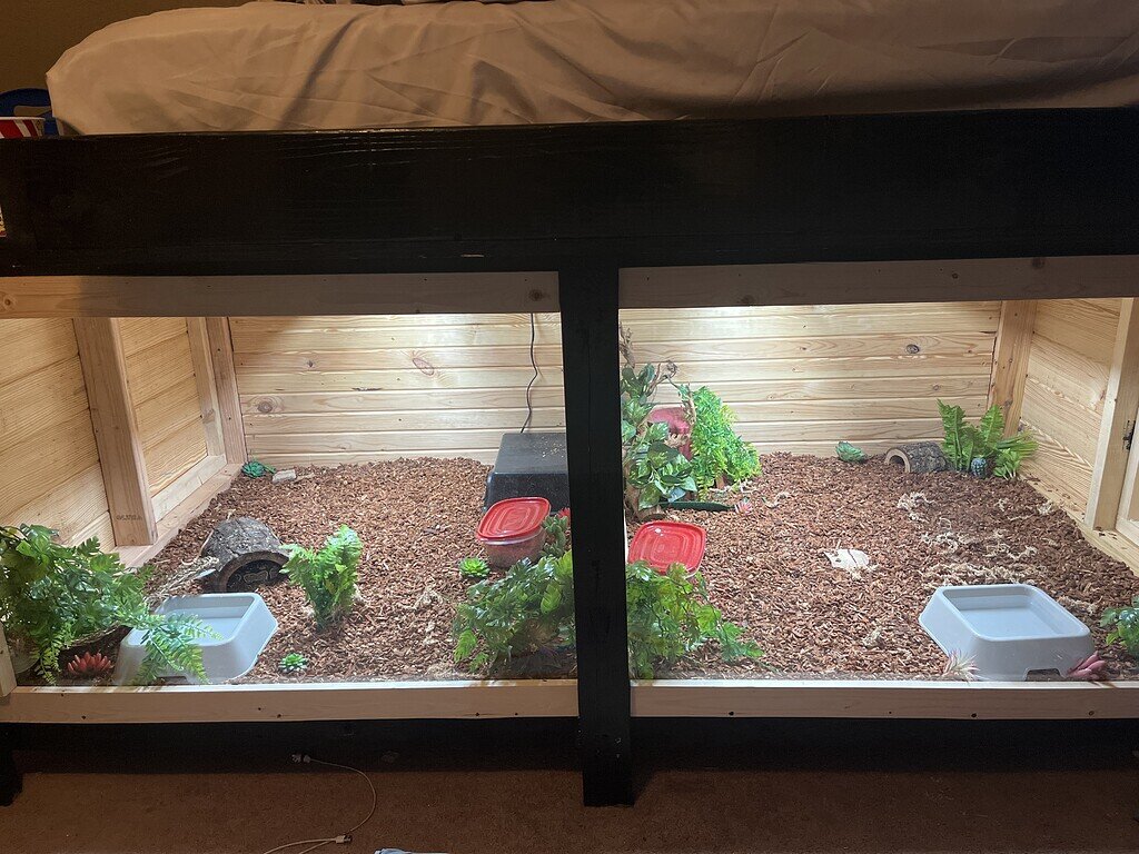 Finished the new bed - Ball Pythons - MorphMarket Reptile Community