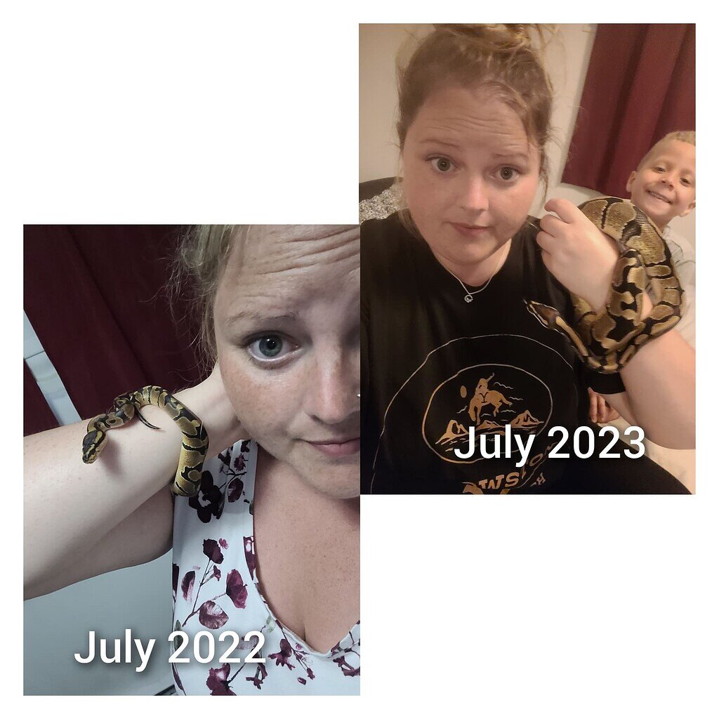 Ball python growth - Pythons - MorphMarket Reptile Community