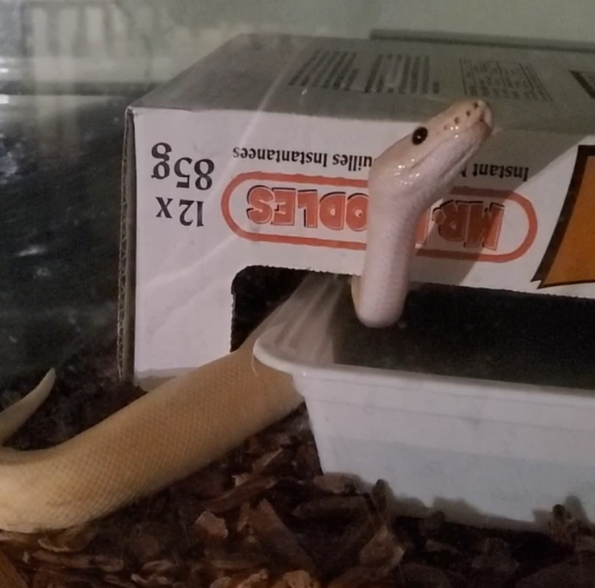 Meet Curious George... My NEW Parents Need Some Help, Tips, & Advice ...