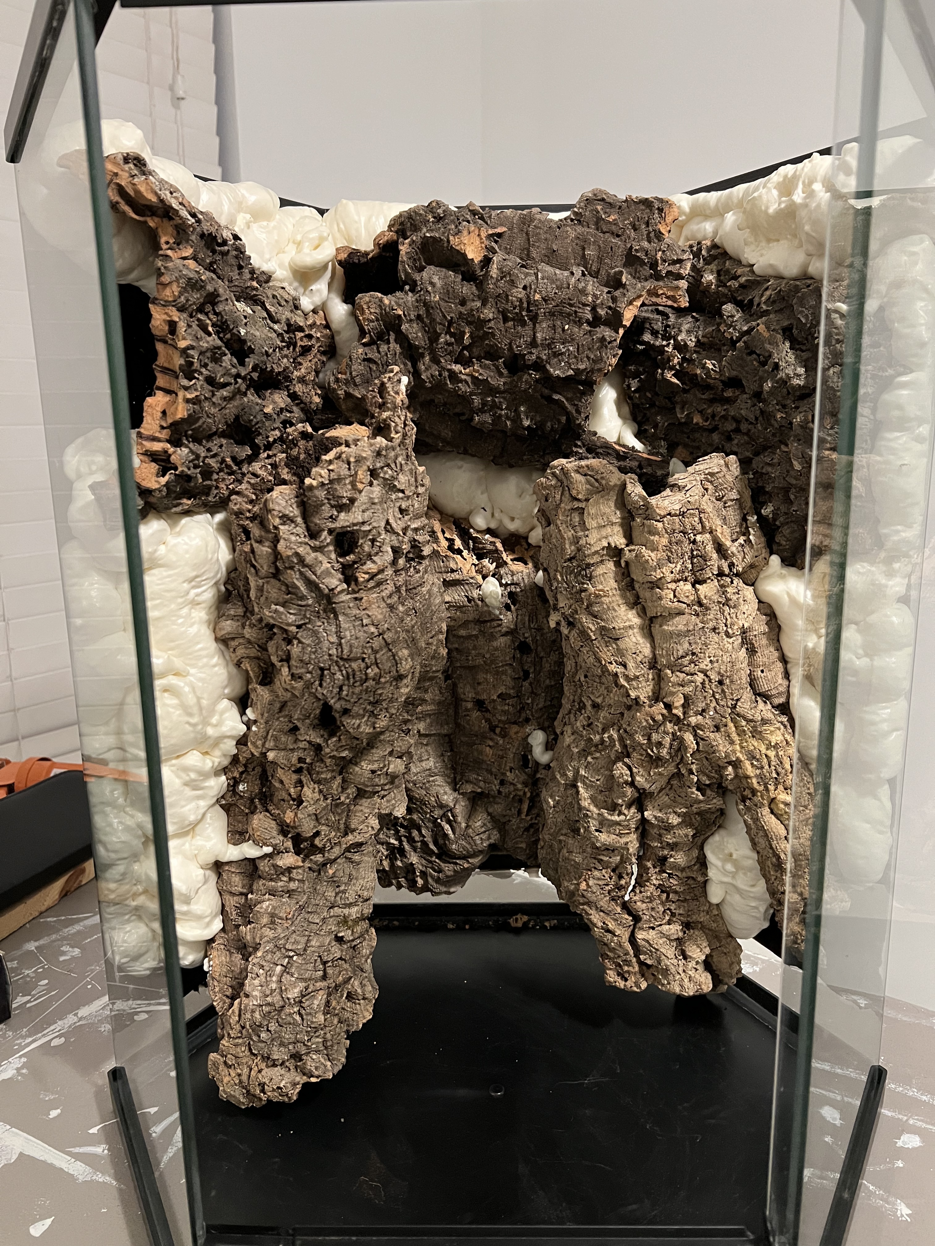 vivarium build tutorial