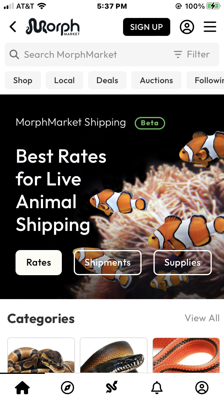 Lost icon to converse with sellers - MRC Support - MorphMarket Reptile ...